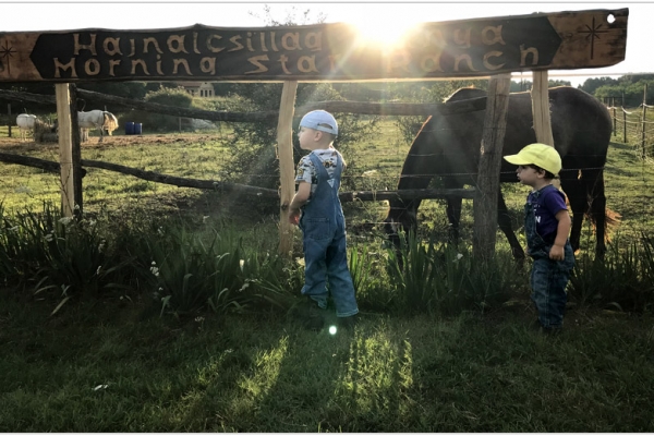 Morning Star Ranch with Eszti Landerholm - World Gospel Mission